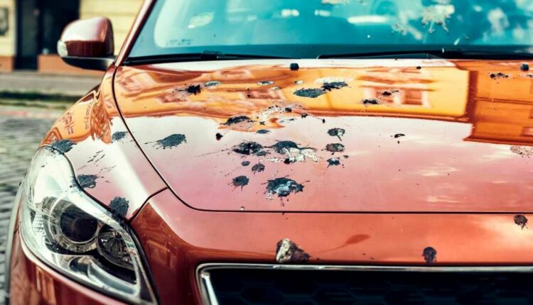 5 Most Common Causes of Car Paint Damage